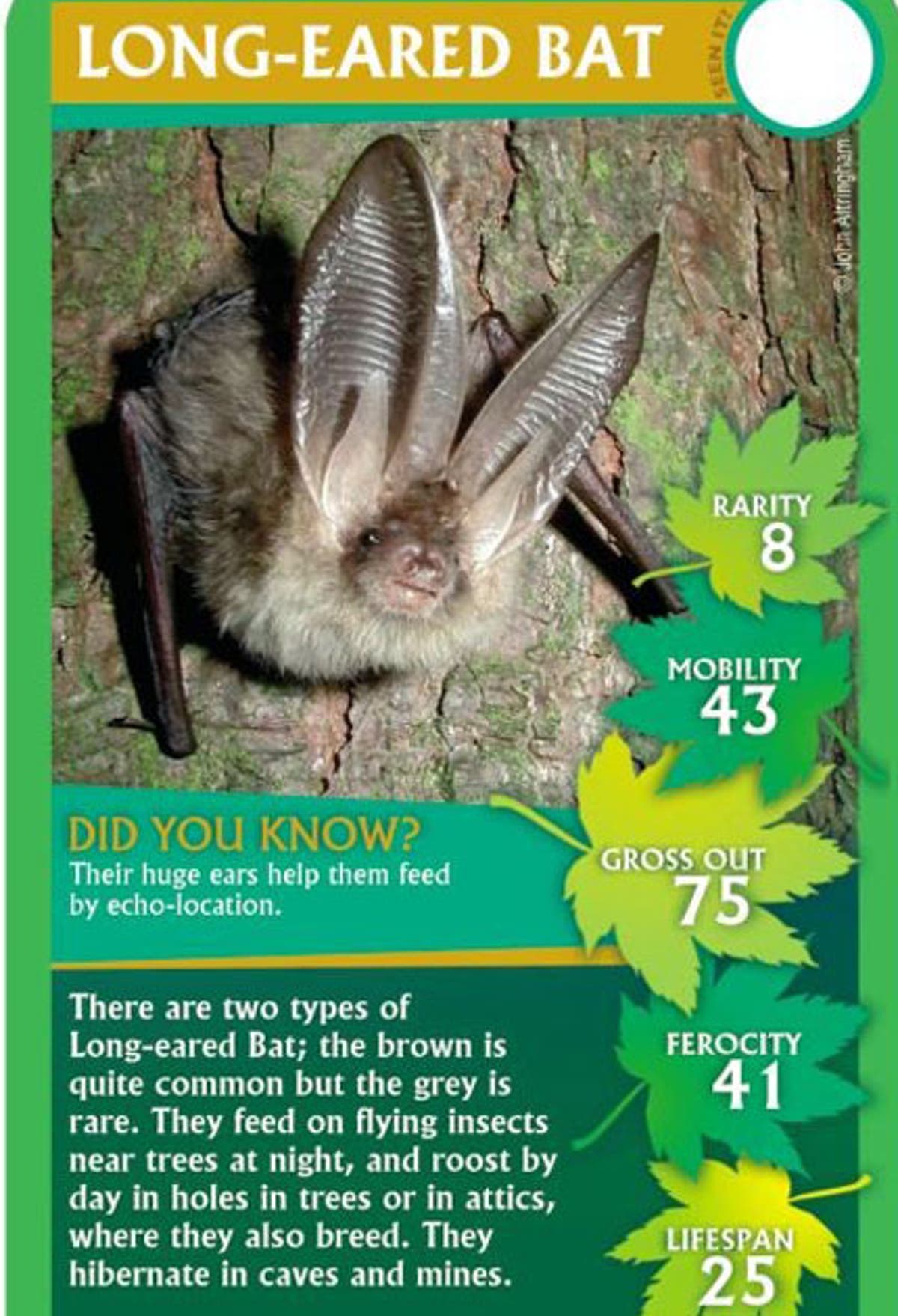 Top Trumps: All creatures great and small | The Independent | The ...