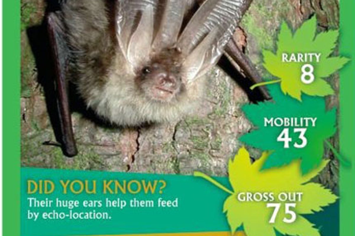 Top Trumps: All creatures great and small | The Independent | The ...