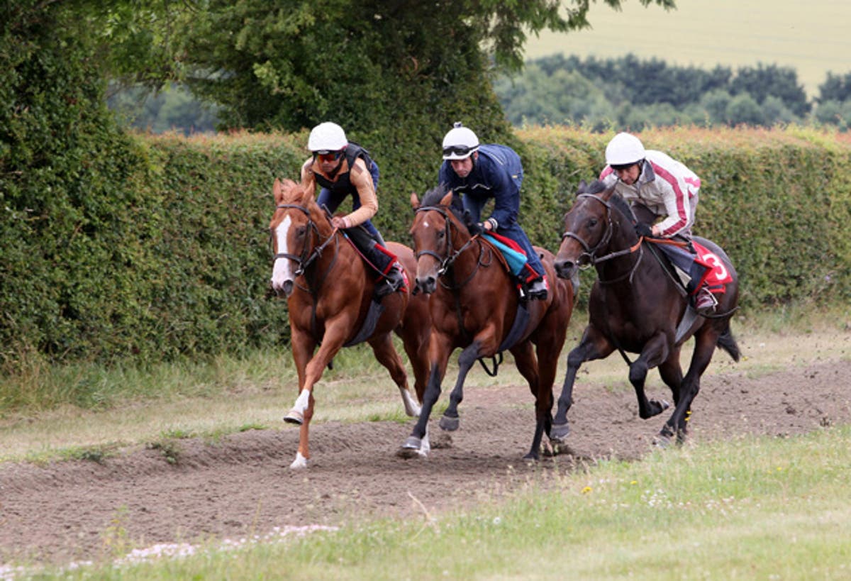 Racing: Hannon seeks riches with Reckless Reward amid Turf's lean times ...