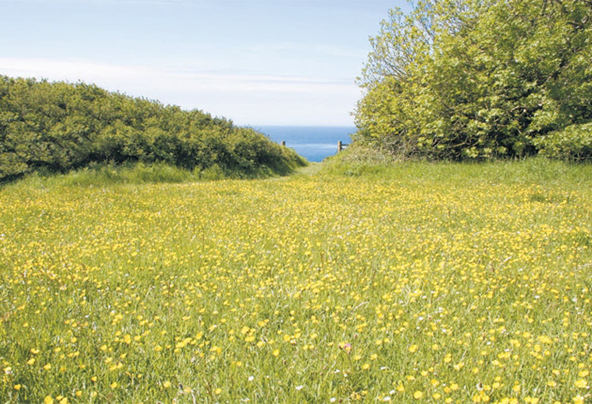 Rural watchdog posts to be among first to go in race to cut deficit ...