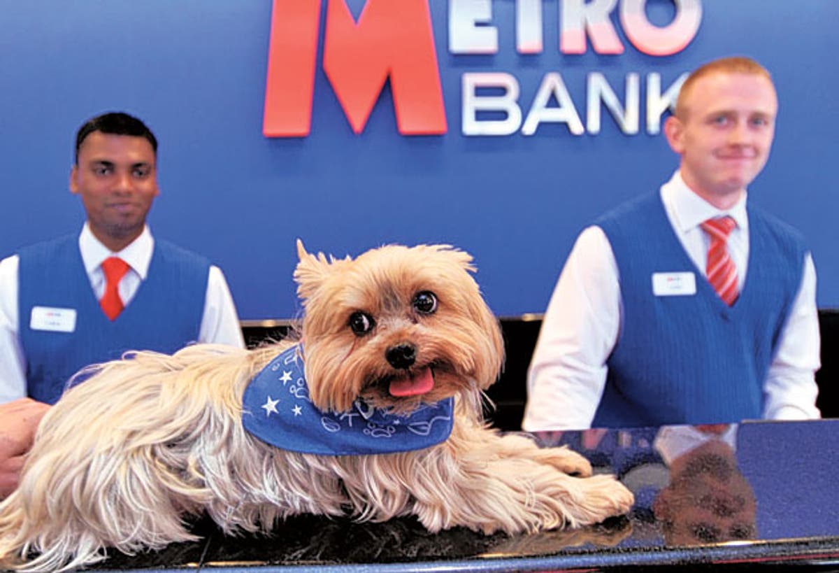 Open every day, dogs welcome: the new face of high street banking | The ...