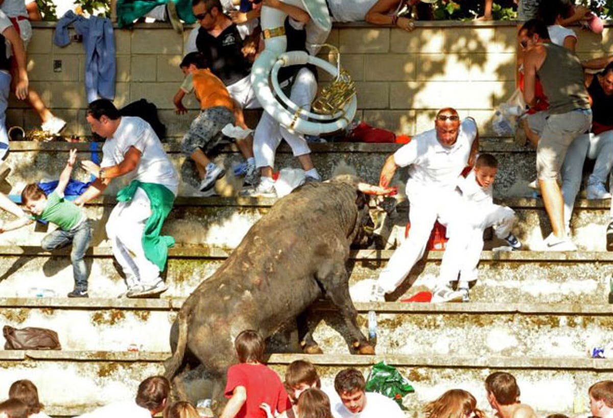 40 hurt as bull leaps into Spanish crowd | The Independent | The ...