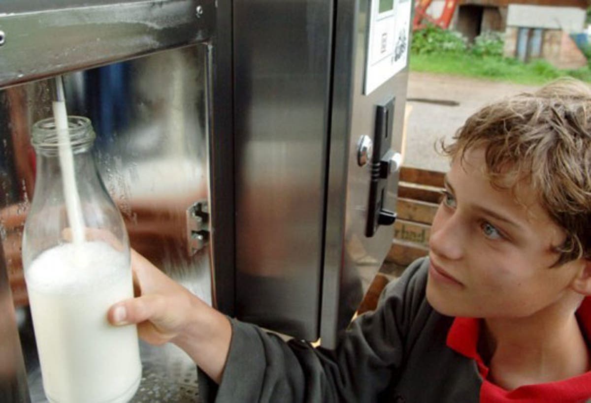 Camel milk? Pull the udder one | The Independent | The Independent