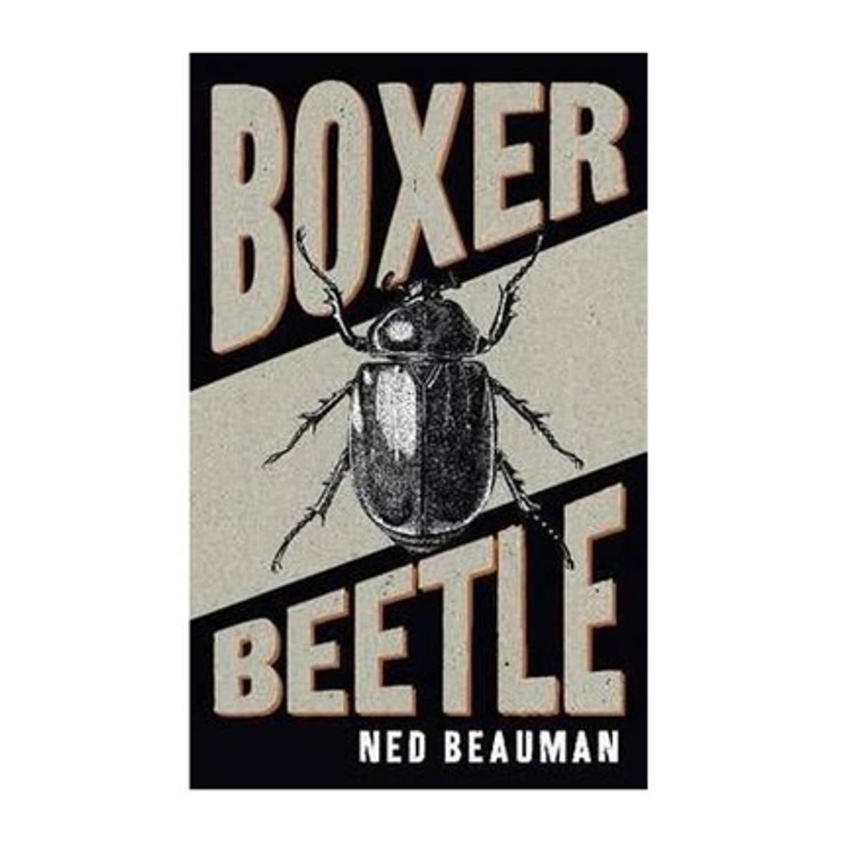 Boxer, Beetle, By Ned Beauman | The Independent | The Independent