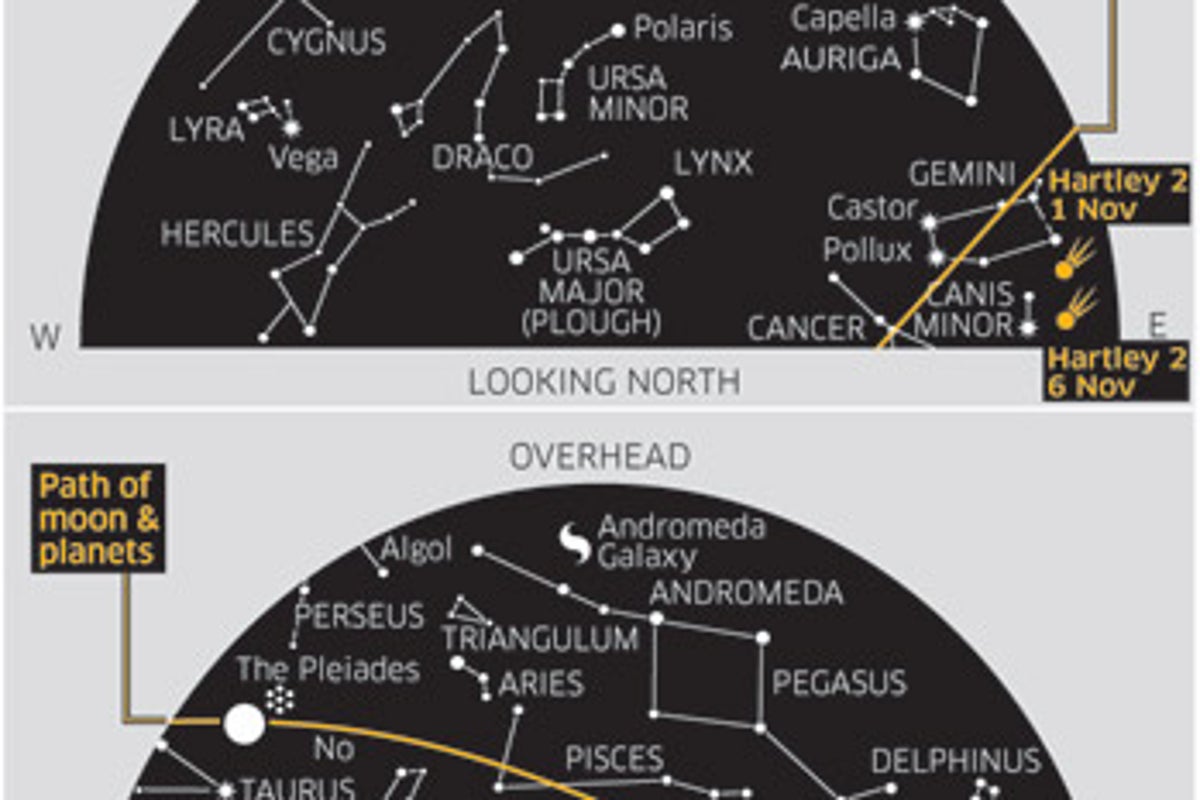 The Stars: November | The Independent | The Independent