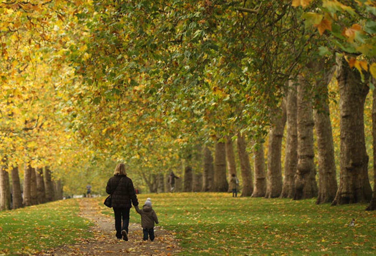 Autumn: Sad Season of Sensations | The Independent | The Independent