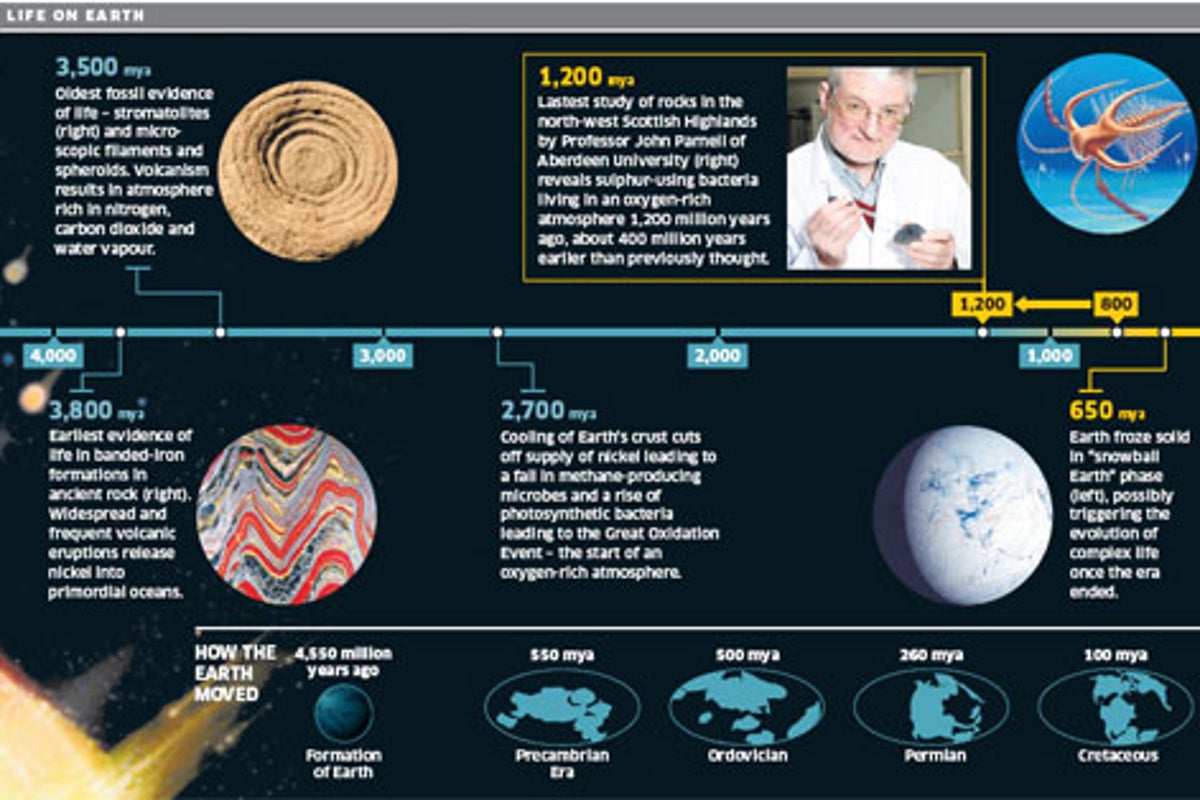 The secrets of evolution unearthed in Highlands | The Independent | The ...