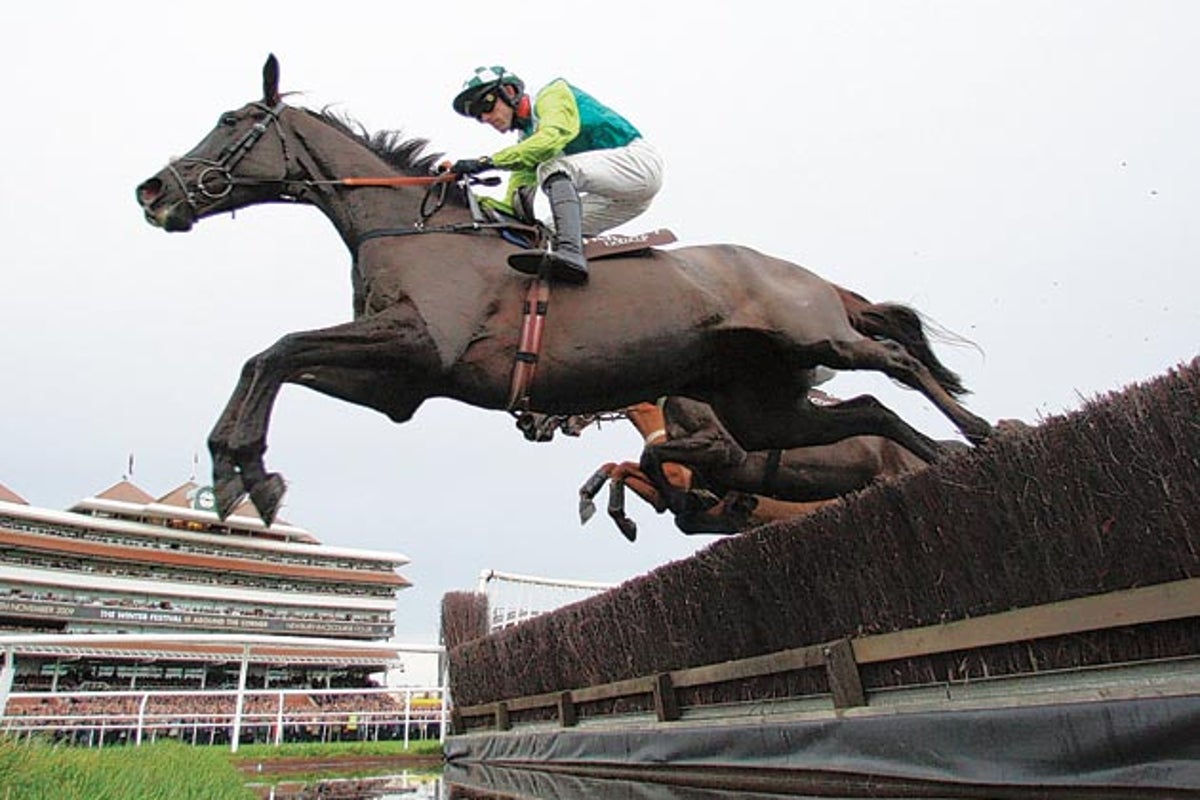 Chris McGrath: Pandorama holds golden chance to upstage Denman on his ...