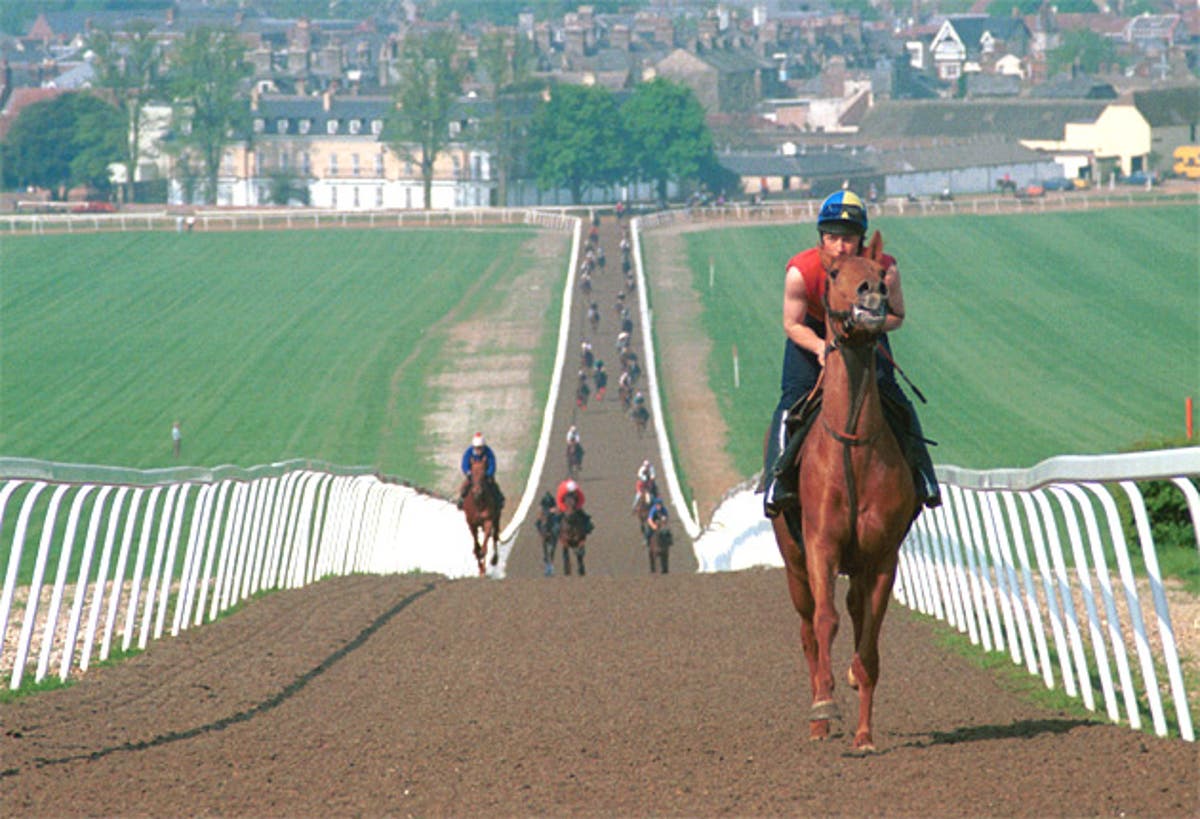 The horsey set bridles at Earl's Newmarket plan | The Independent | The ...