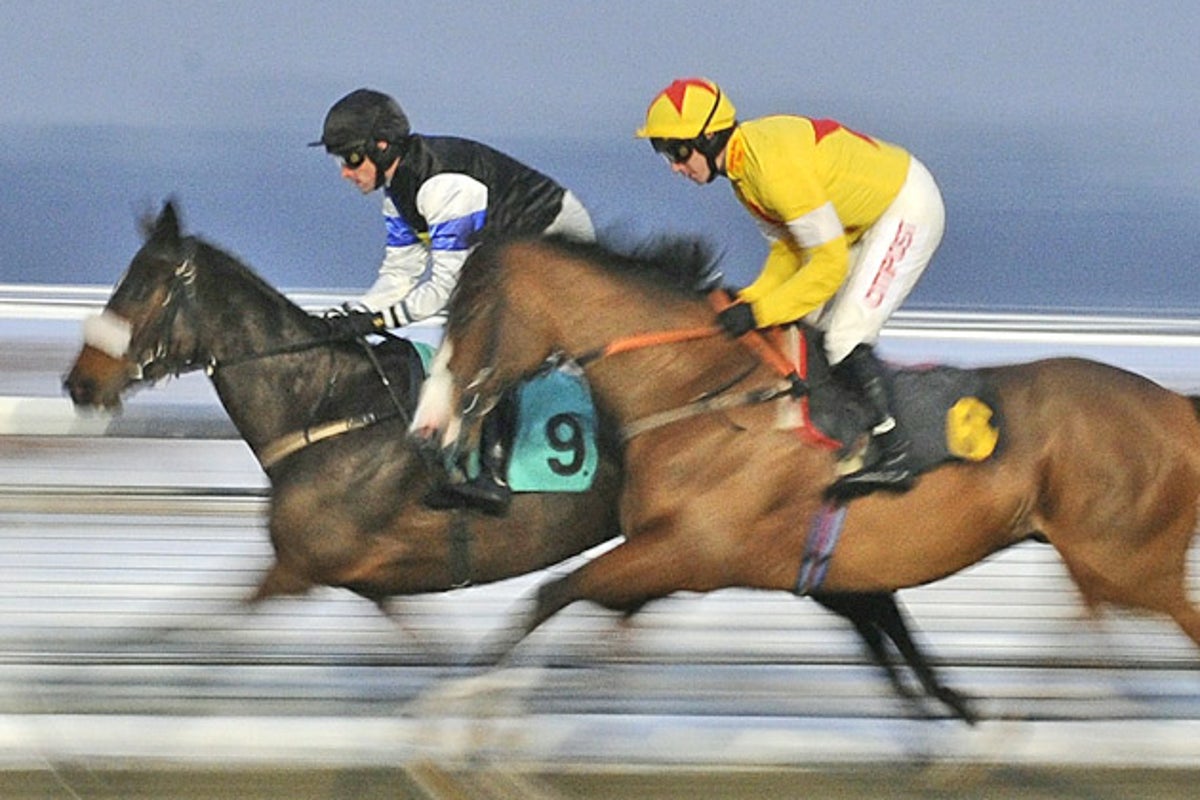 Noland set to make long-awaited return in King George after workout at ...