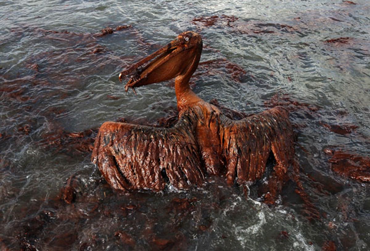 The Year in Review: The BP oil spill | The Independent | The Independent