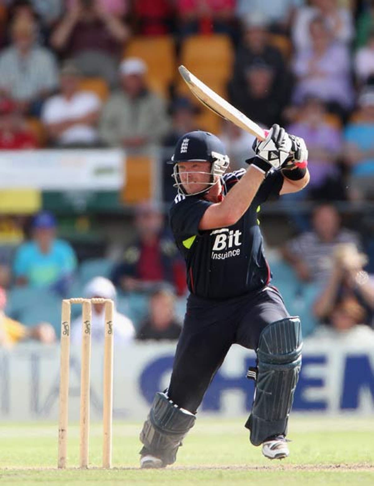 Ian Bell fires England to one-day victory in Australia | The ...