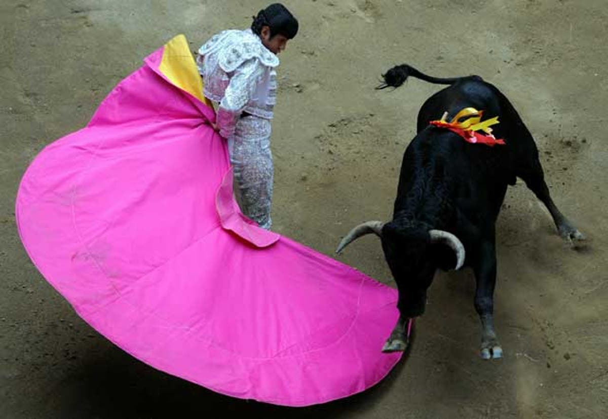 Or The Bull Kills You, By Jason Webster | The Independent | The Independent