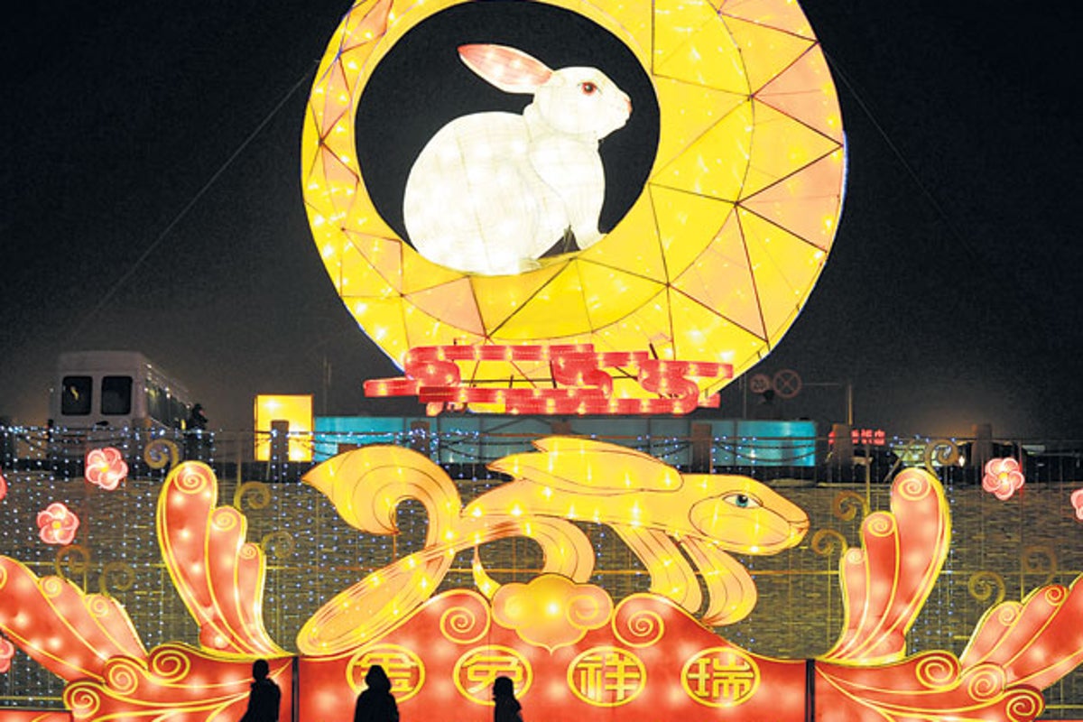 Susie Rushton: All to play for in the Year of the Rabbit | The ...
