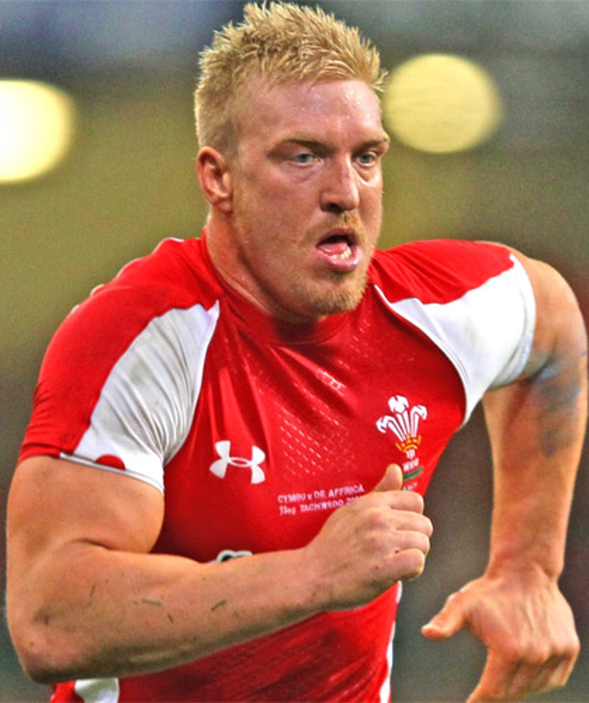 Sale Sharks confirm Andy Powell signing | The Independent | The Independent