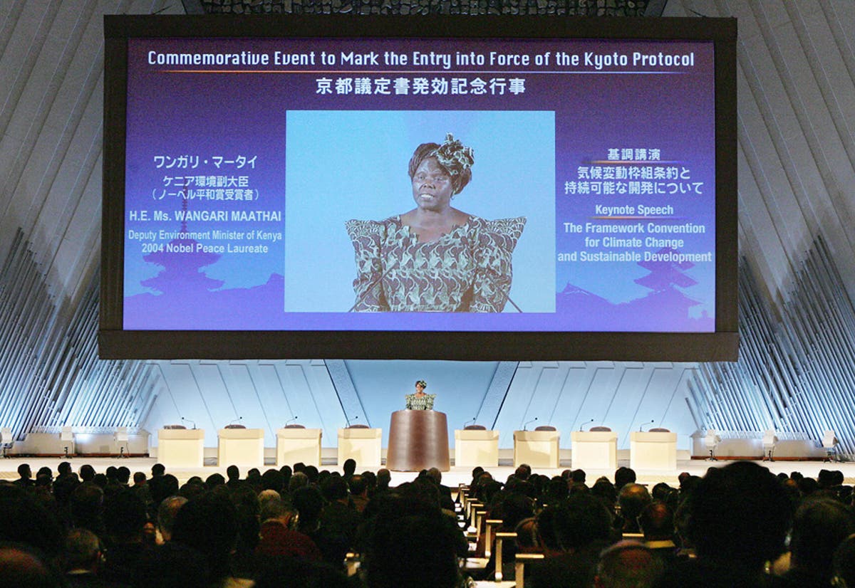 A Day That Shook The World: Kyoto Protocol introduced | The Independent ...
