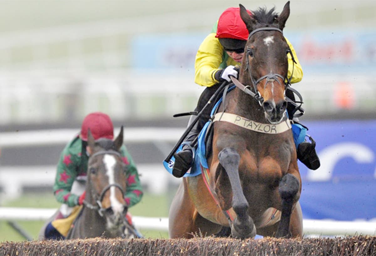 Sizing Europe helps Irish raiders forget home troubles | The ...