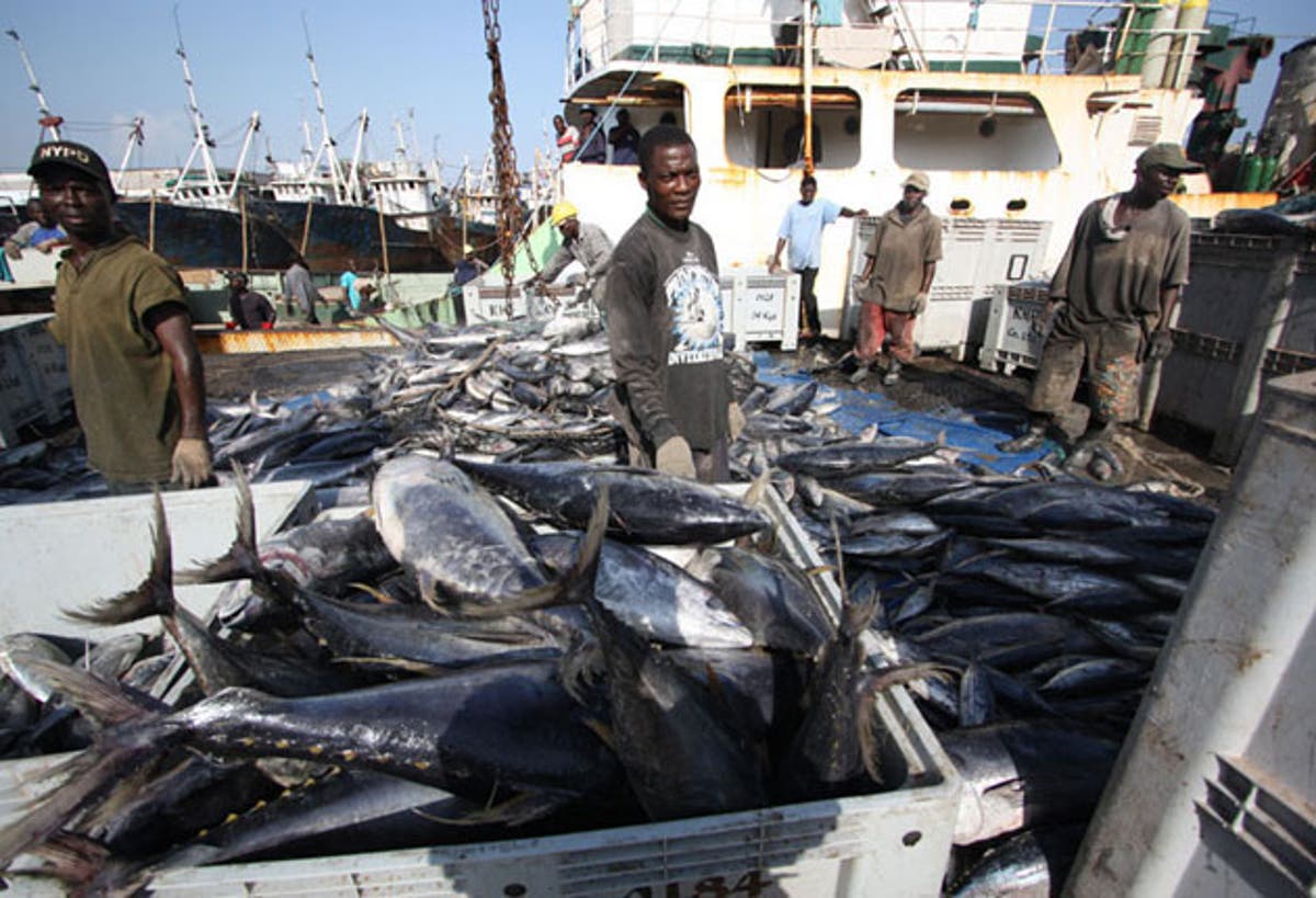 Fresh triumph for ethical tuna fishing campaign | The Independent | The ...