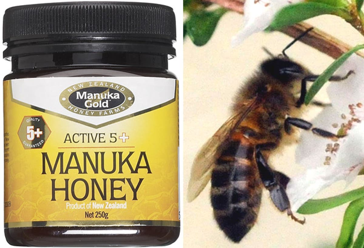 Superbugs may have found their match in manuka bees | The Independent ...