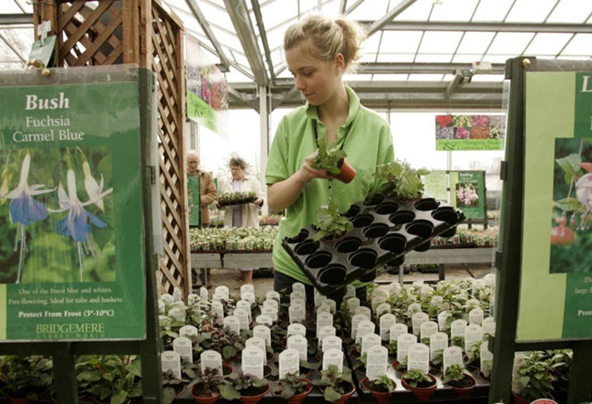 Susie Rushton: The tyranny of wedding magazines | The Independent | The ...