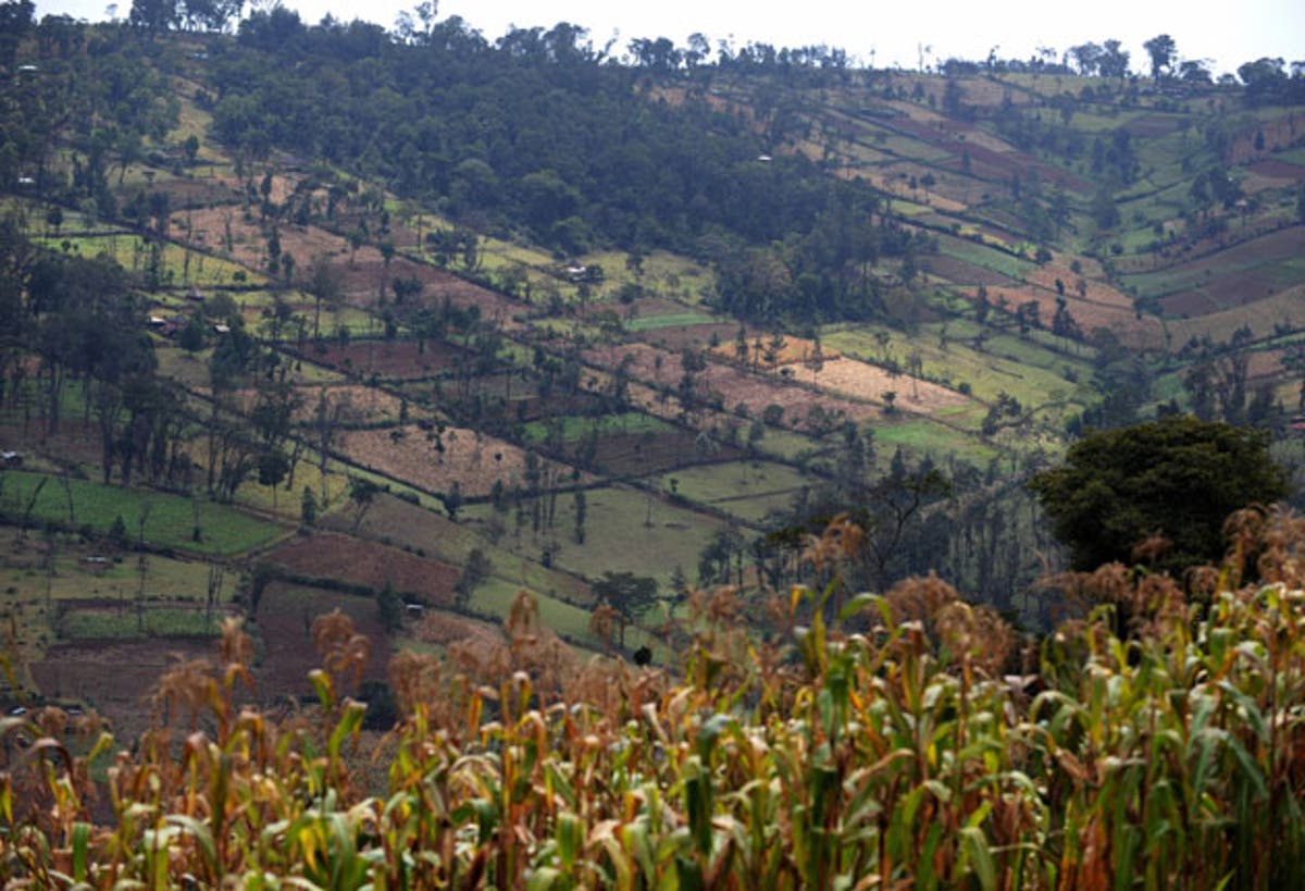 Green schemes are 'wide open to major corruption' | The Independent ...