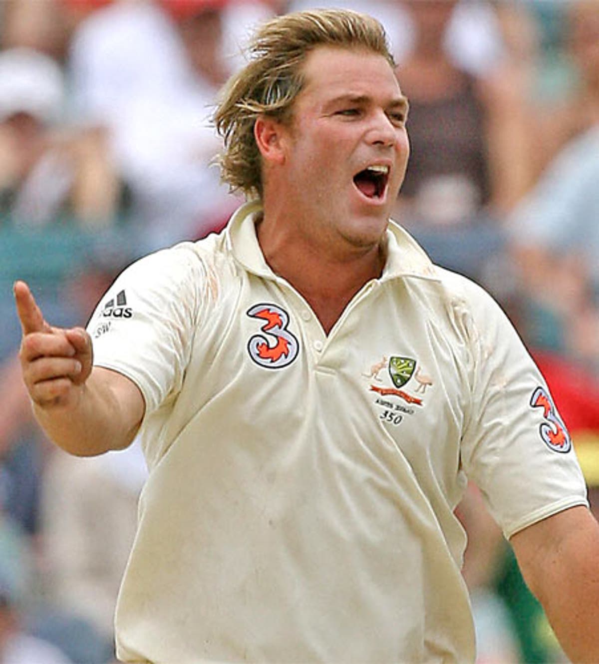 Brian Viner: Warne and his fellow masters of spin know how to weave ...