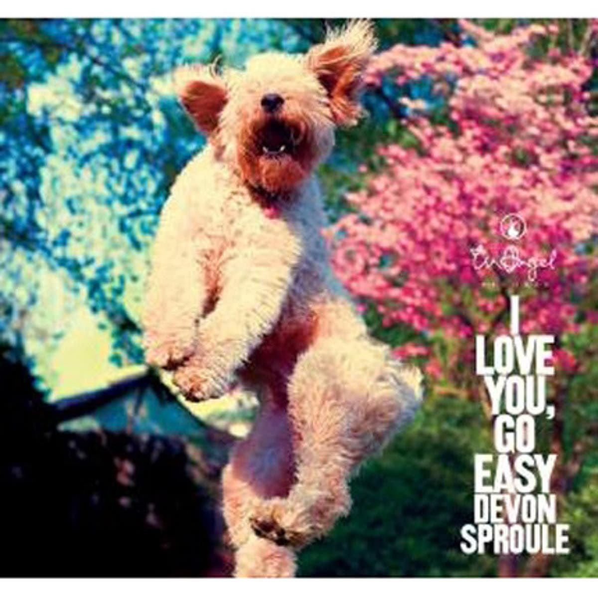Album: Devon Sproule, I Love You, Go Easy (Tin Angel) | The Independent ...