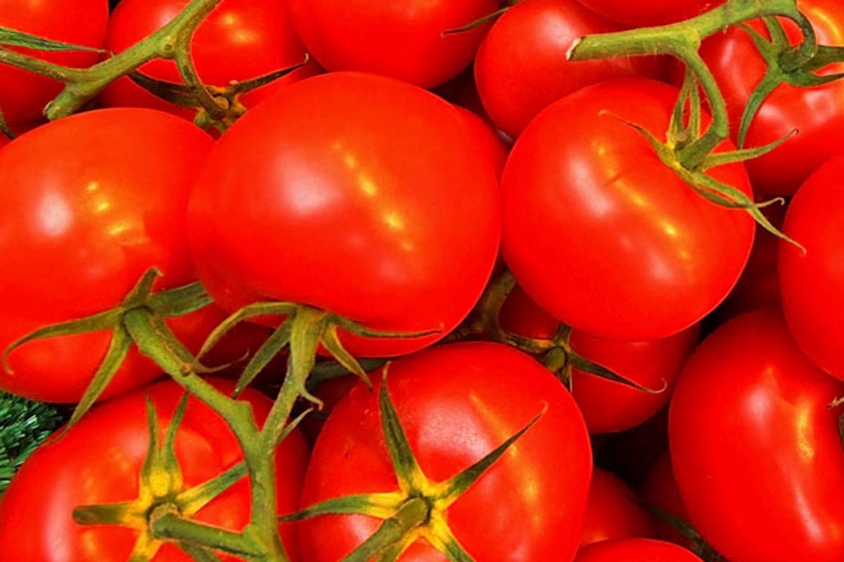 Red alert: the glory of the great British tomato | The Independent ...
