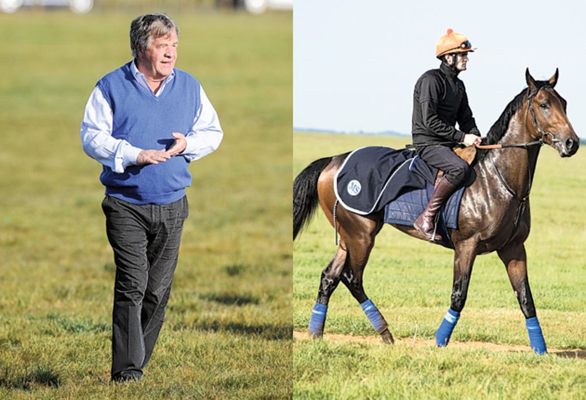 Stoute builds confidence in Carlton House | The Independent | The ...