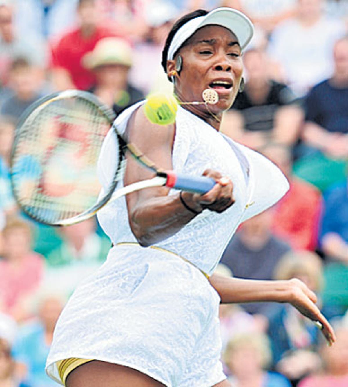 Normal service is resumed as Venus dazzles once again | The Independent ...