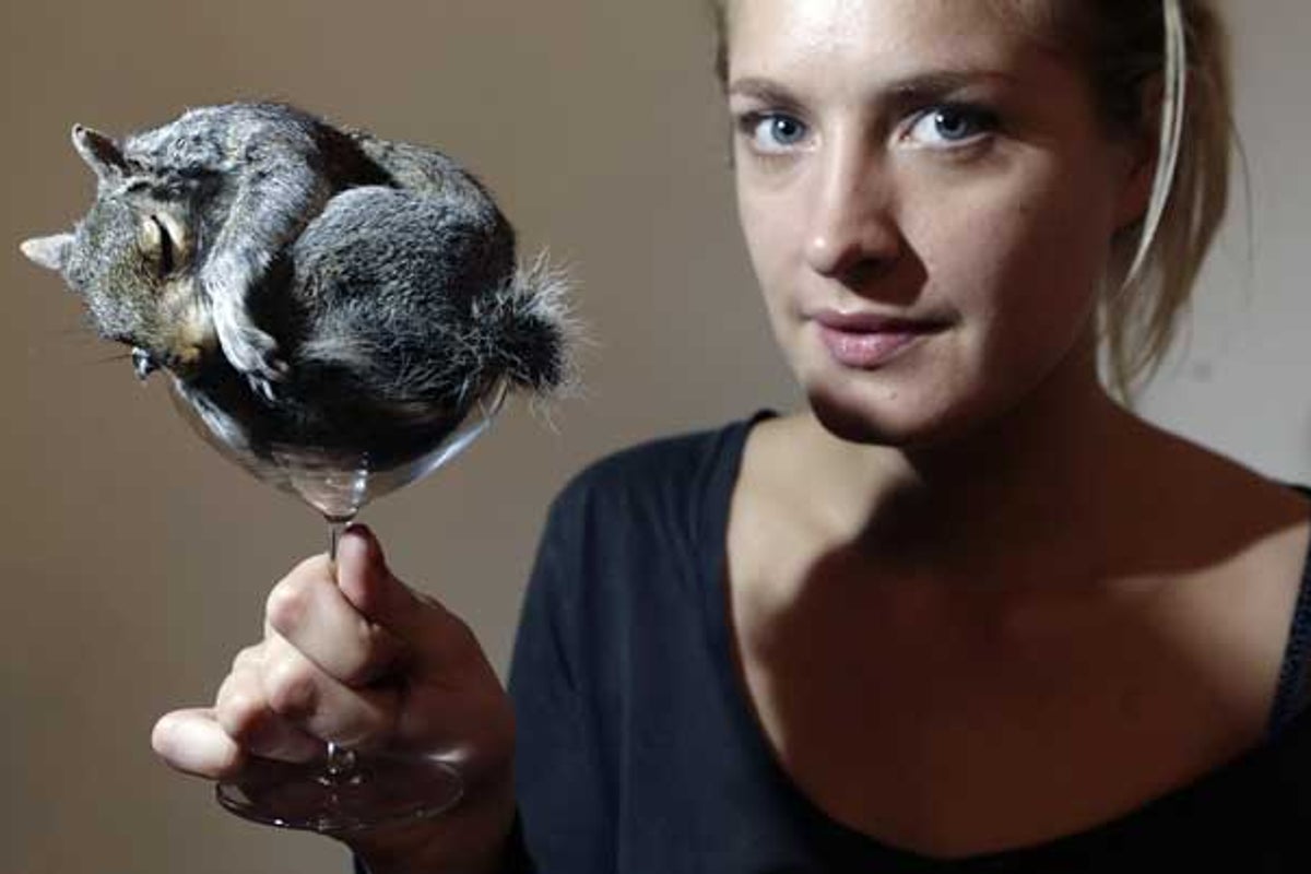 Cultural Life: Polly Morgan, taxidermist | The Independent | The ...