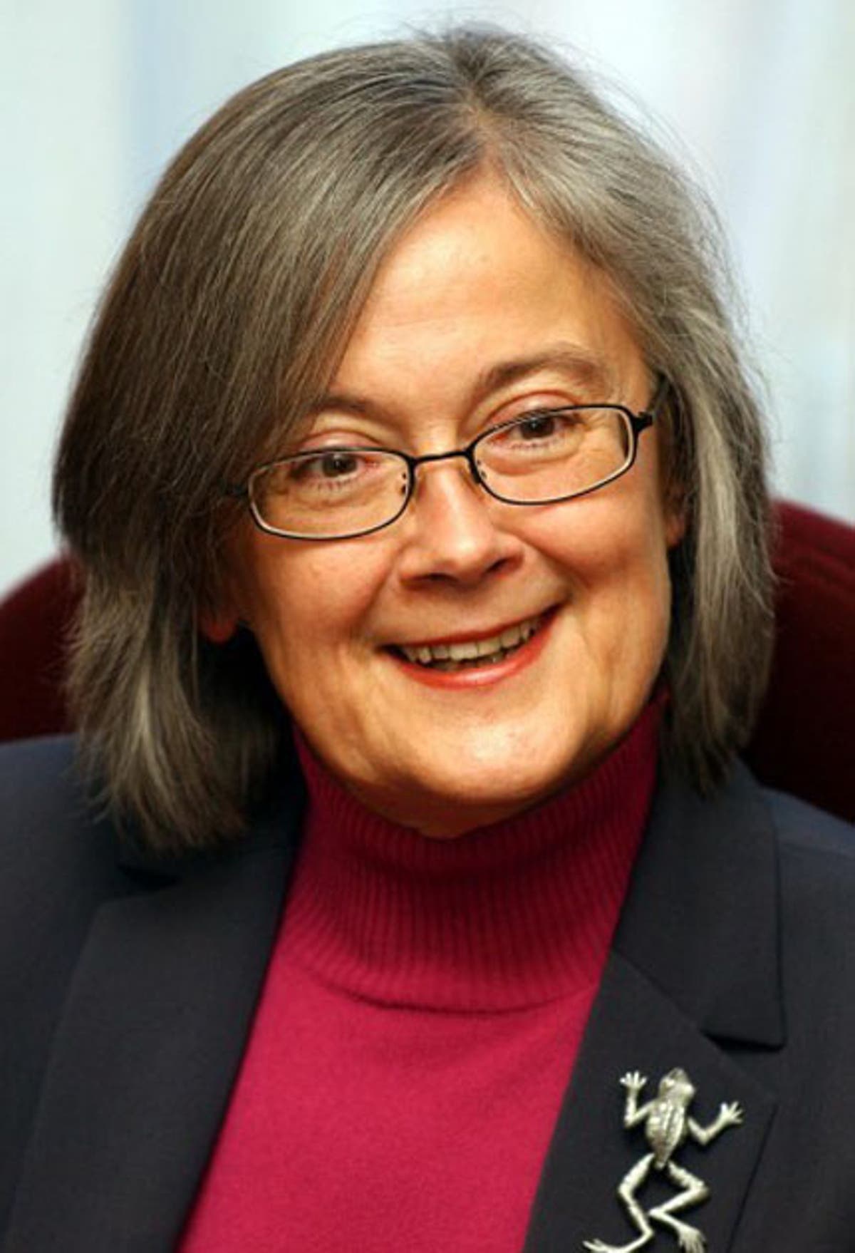 Legal aid reforms will hit the most vulnerable hardest, warns top judge ...