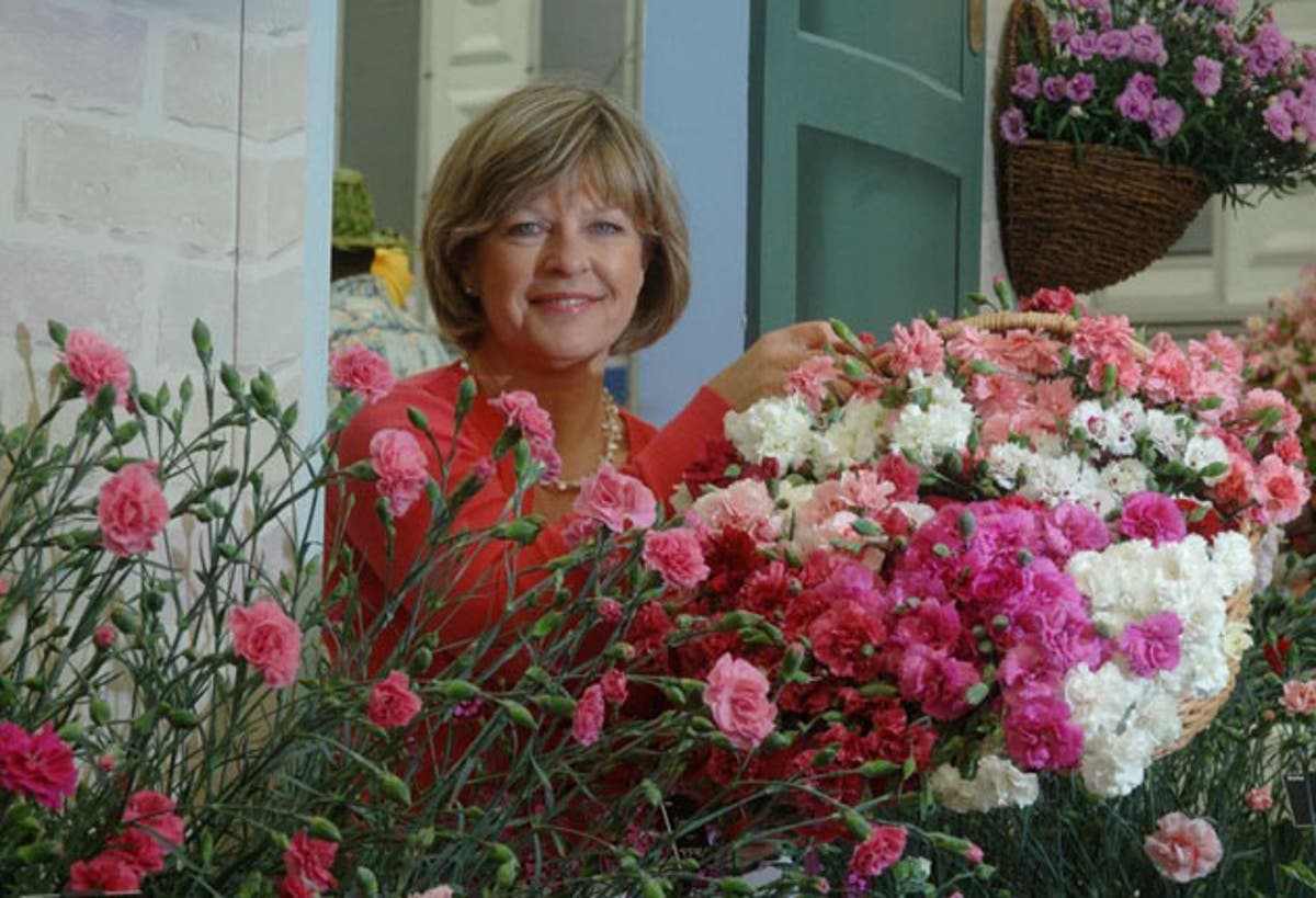 Peter York: It's the old, old story of class | The Independent | The ...