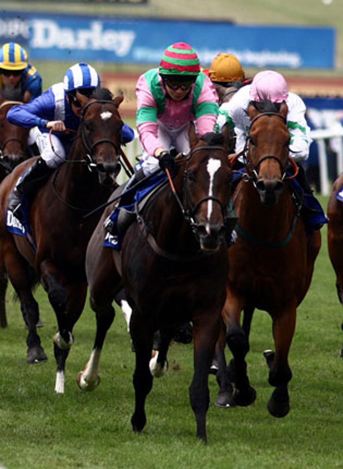 Simcock thinks his high hopes for Dream can become reality | The ...