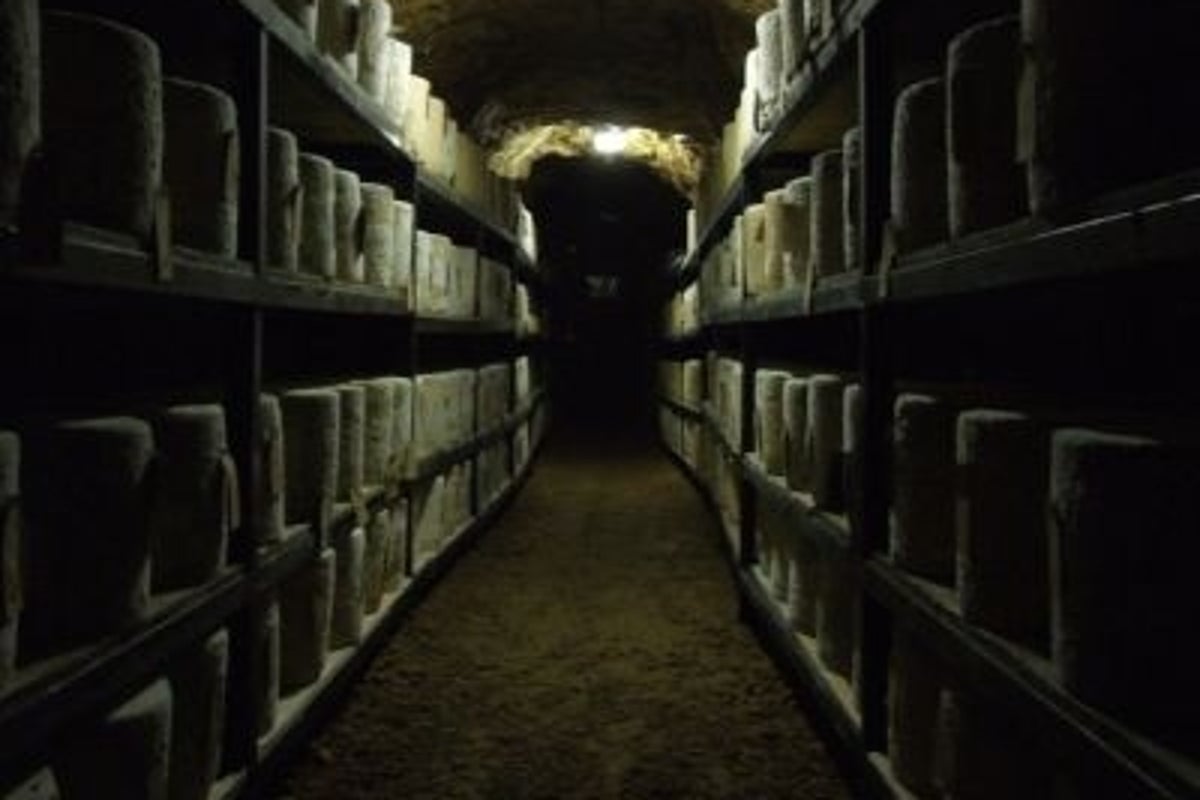 English cave-aged cheddar declared 'supreme' winner in international ...
