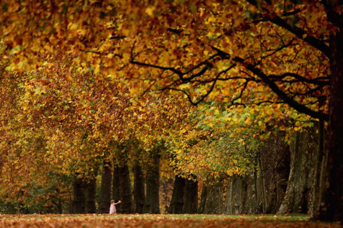 Brian Viner: Let's hear it for autumn – my favourite season of all ...