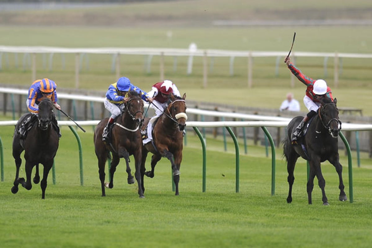 Minidress gets plenty of glances for Oh So Sharp | The Independent ...