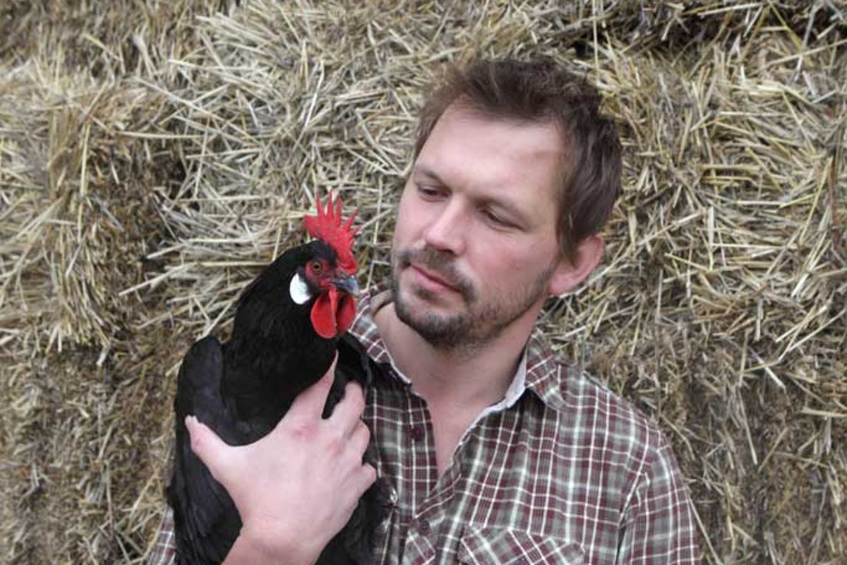 Jimmy Doherty: 'My first chicken laid one egg and four of us shared it ...