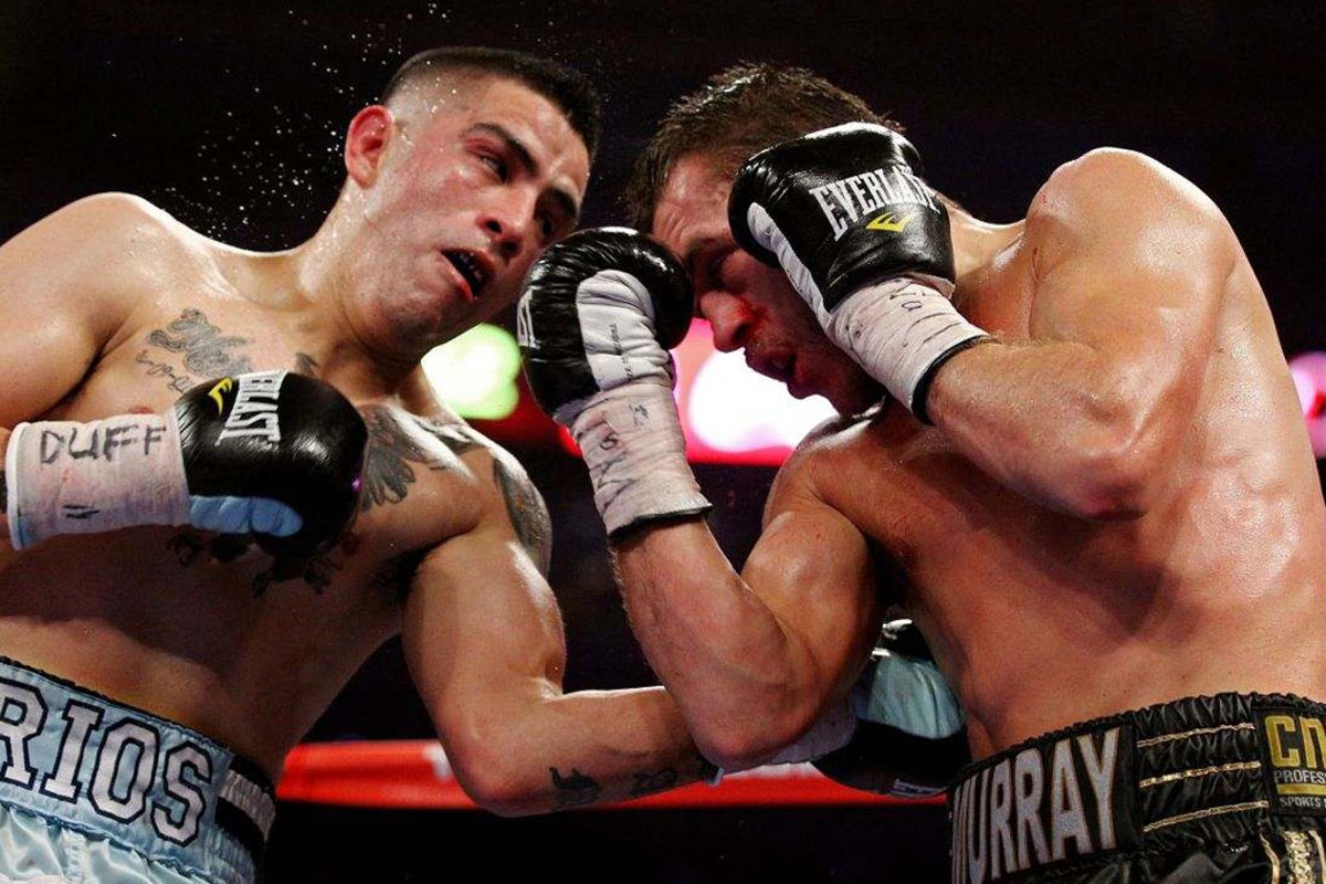 Boxing: Murray runs out of steam while Cotto gains his revenge at last ...