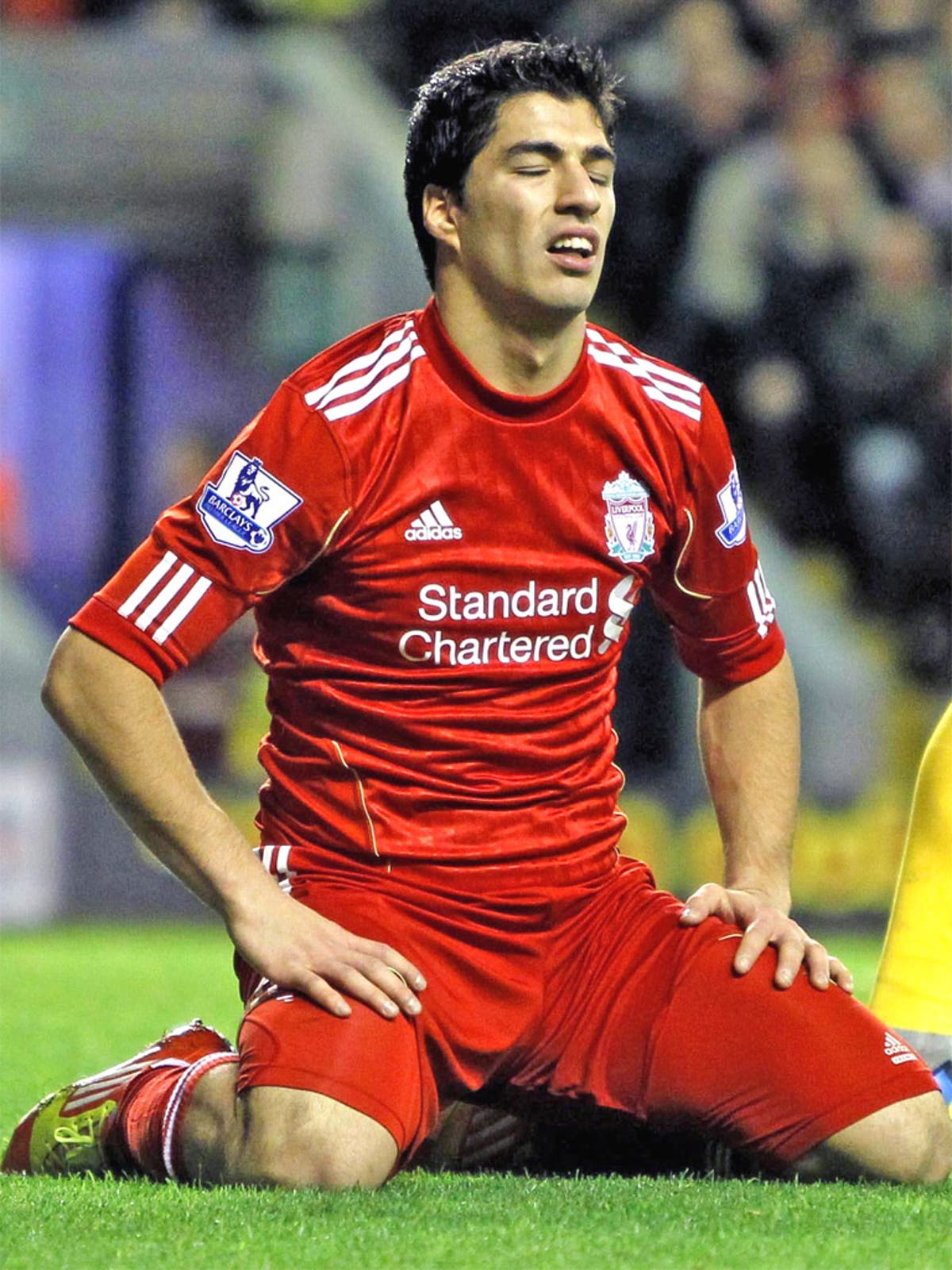 Suarez judgement to be most detailed in the FA's history | The ...