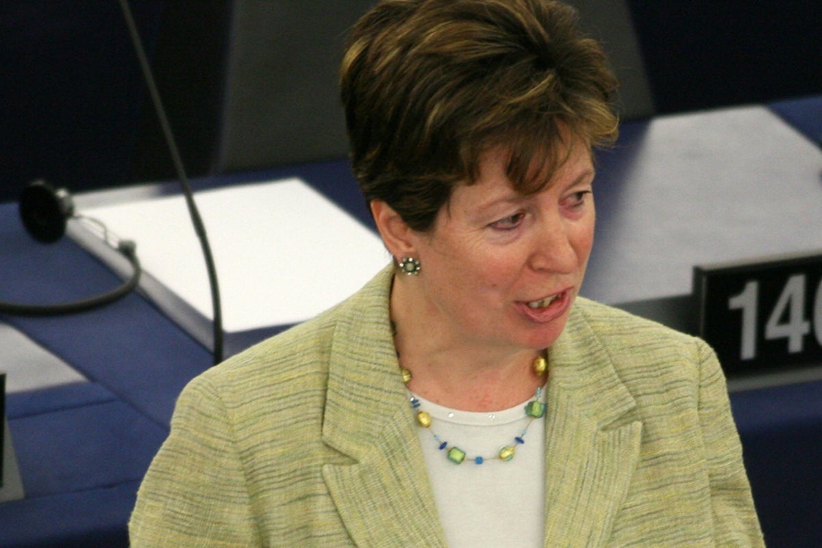 British MEPs try to challenge the 'stitch-up' in Brussels | The ...