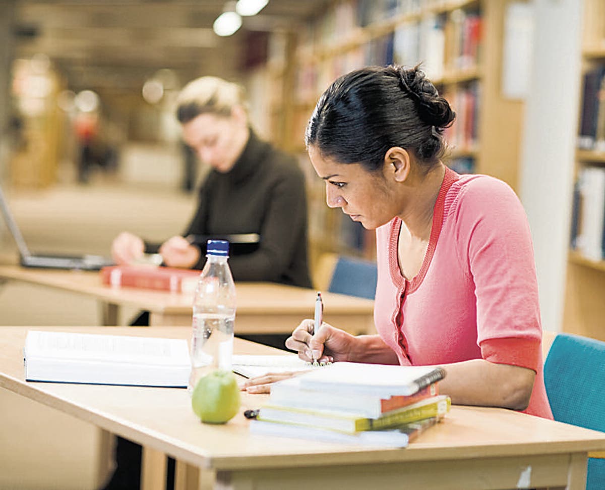 Schools learn language of commerce | The Independent | The Independent