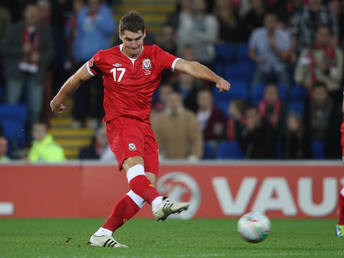 Brighton sign Wolves striker Sam Vokes on loan | The Independent | The ...
