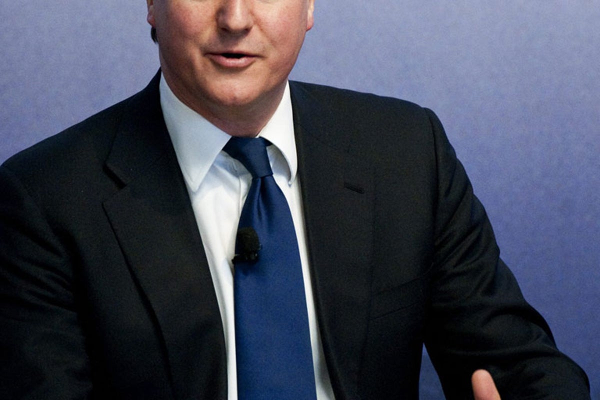 Andrew Grice: Cameron could live to regret his reluctance to kill the ...