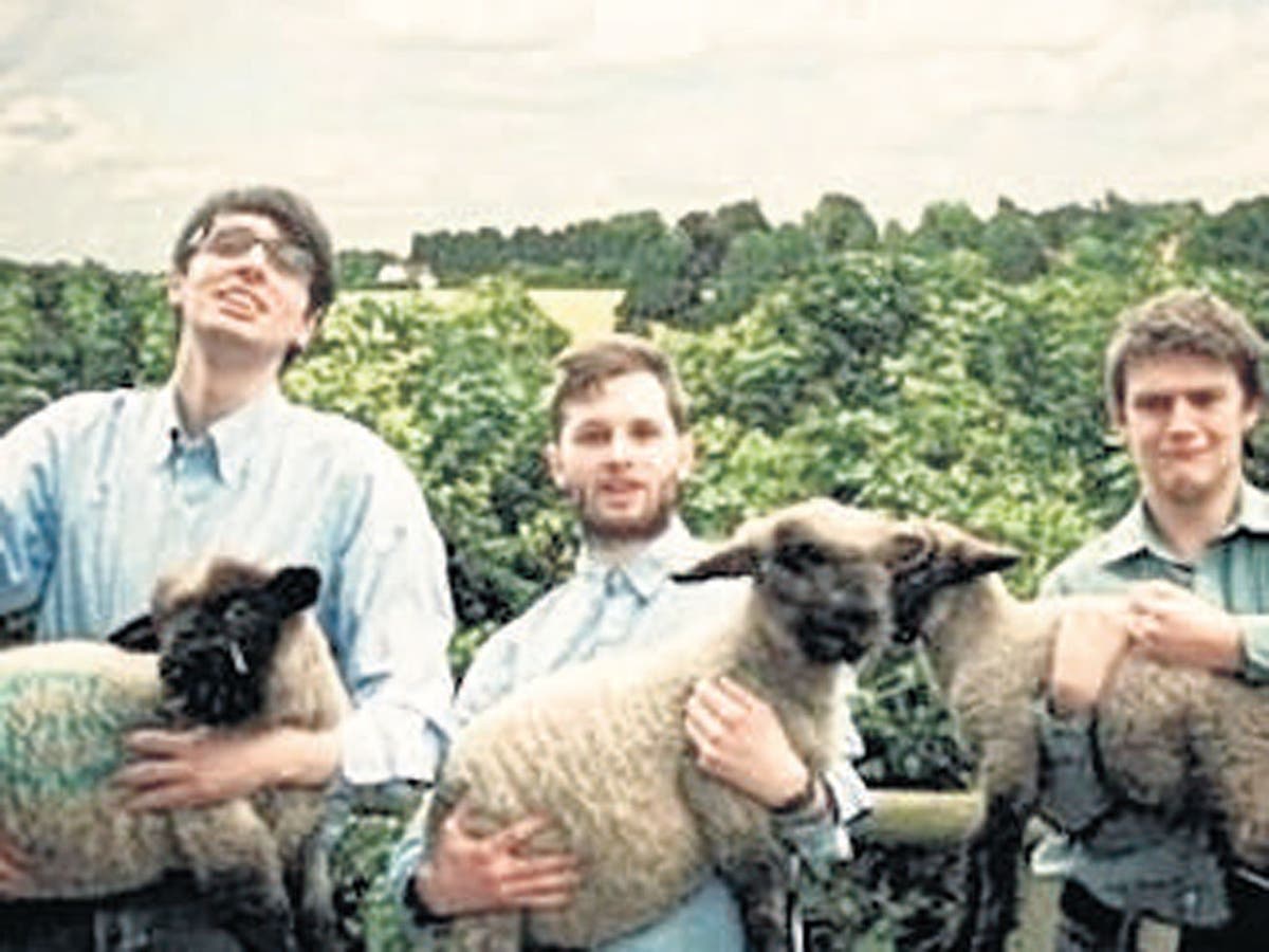 Observations: Sheep(s) draw an admiring flock to the West End | The ...