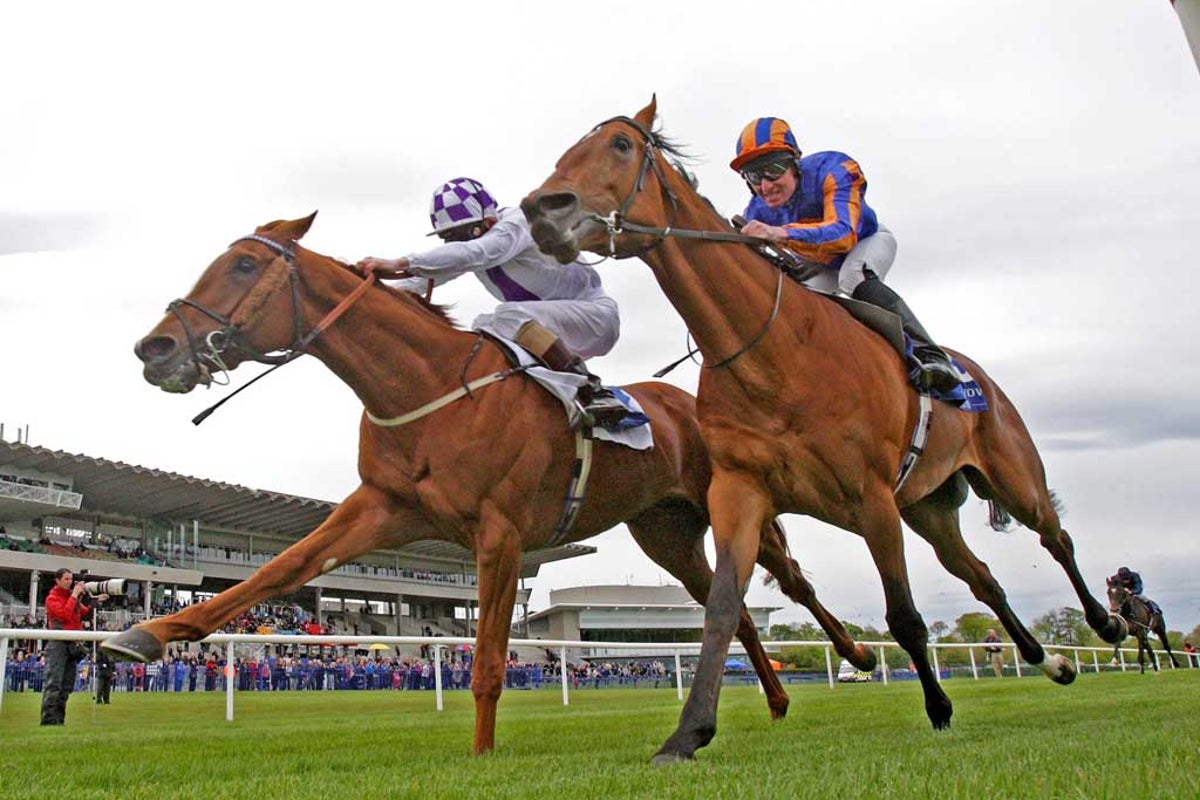 Jim Bolger weighs up Light Heavy's Derby prospects after hefty win ...