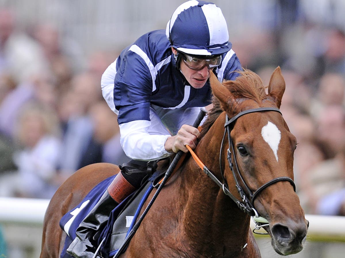 Strong Suit up to face Frankel | The Independent | The Independent