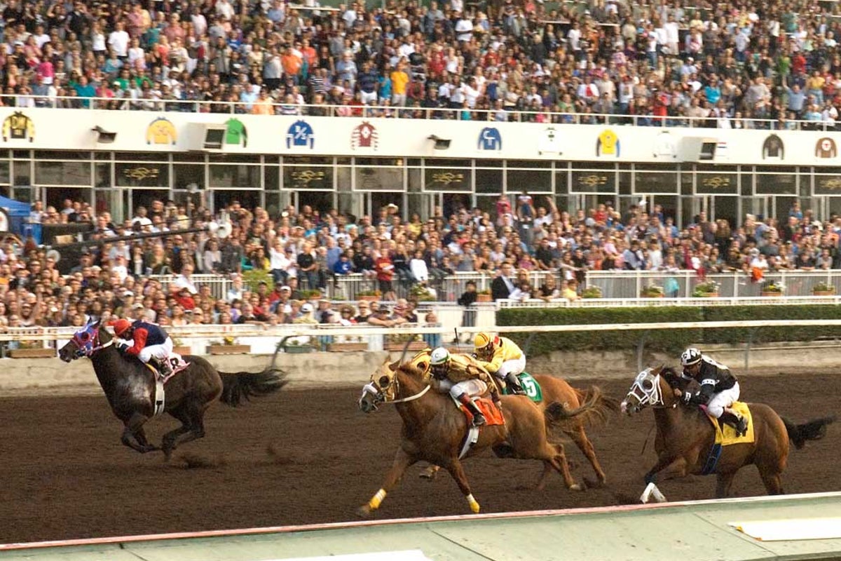 New Mexico racing stable used as front for Zetas drugs cartel | The ...