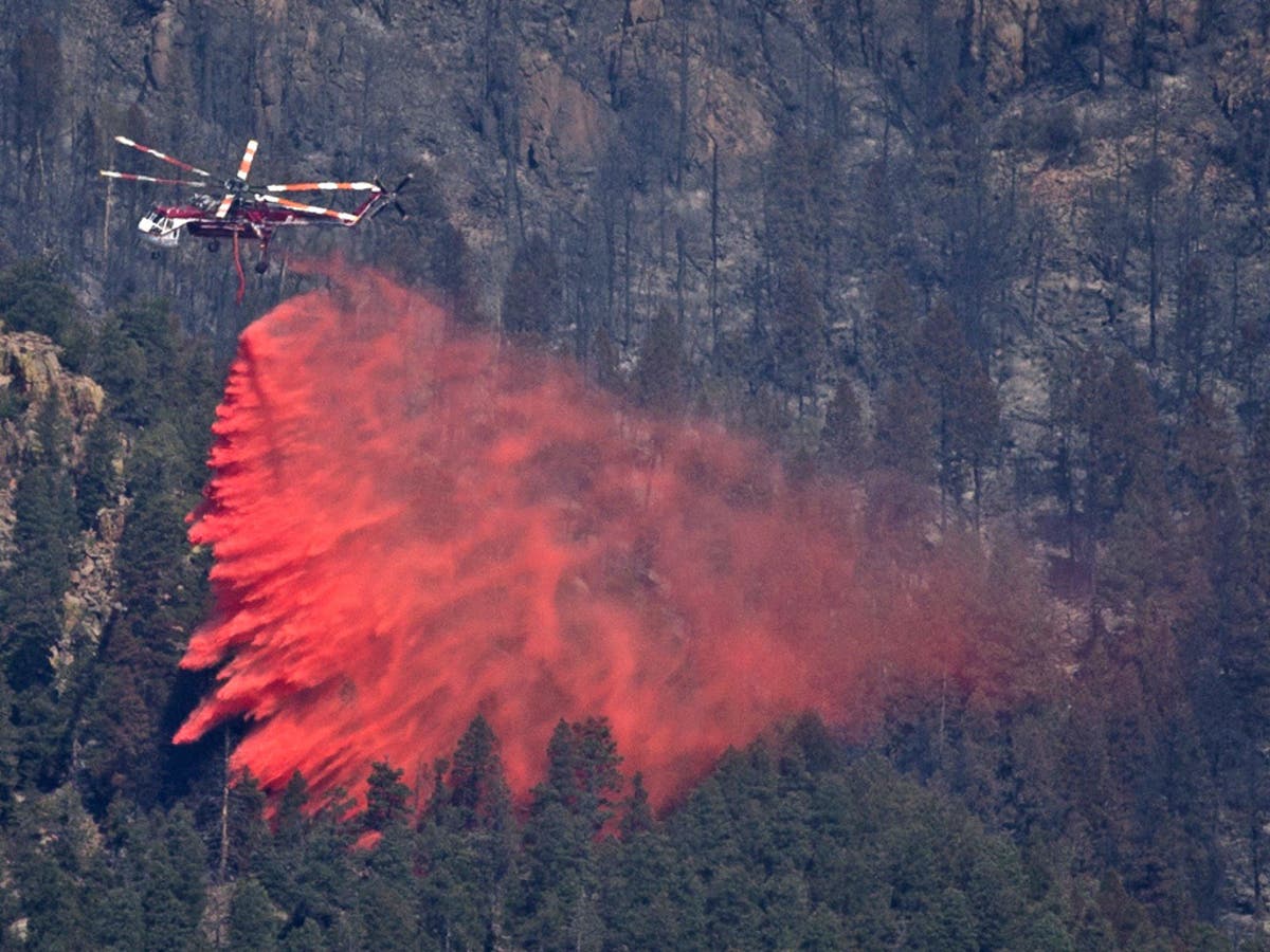 Four dead in fire-fighting plane crash | The Independent | The Independent