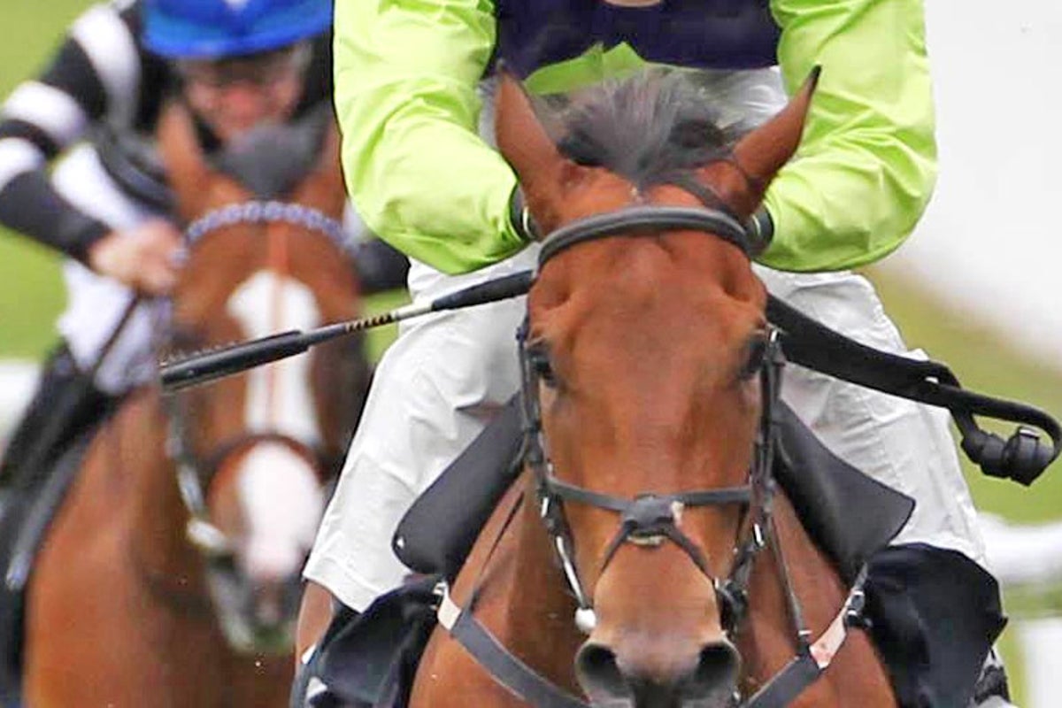 Giveaway filly puts Ulster's rising star Oliver on the map | The ...